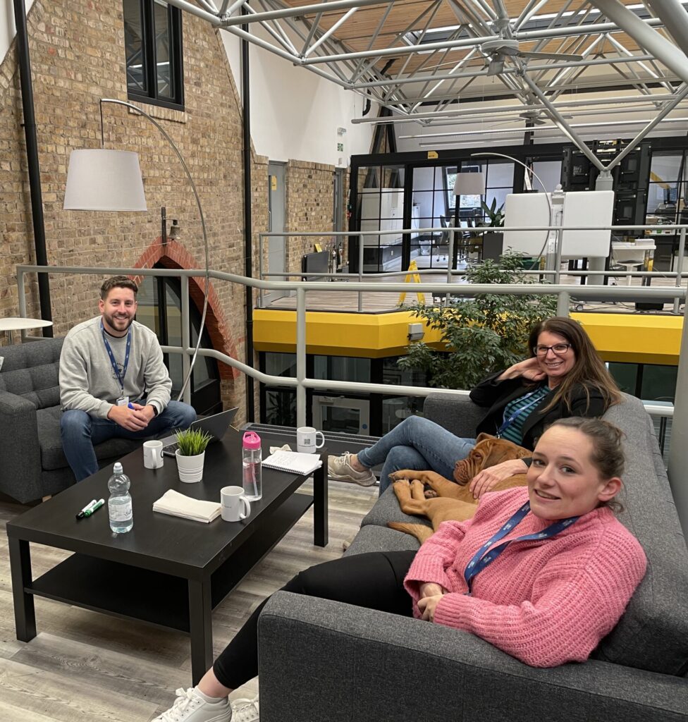 Home - Hanley Consulting